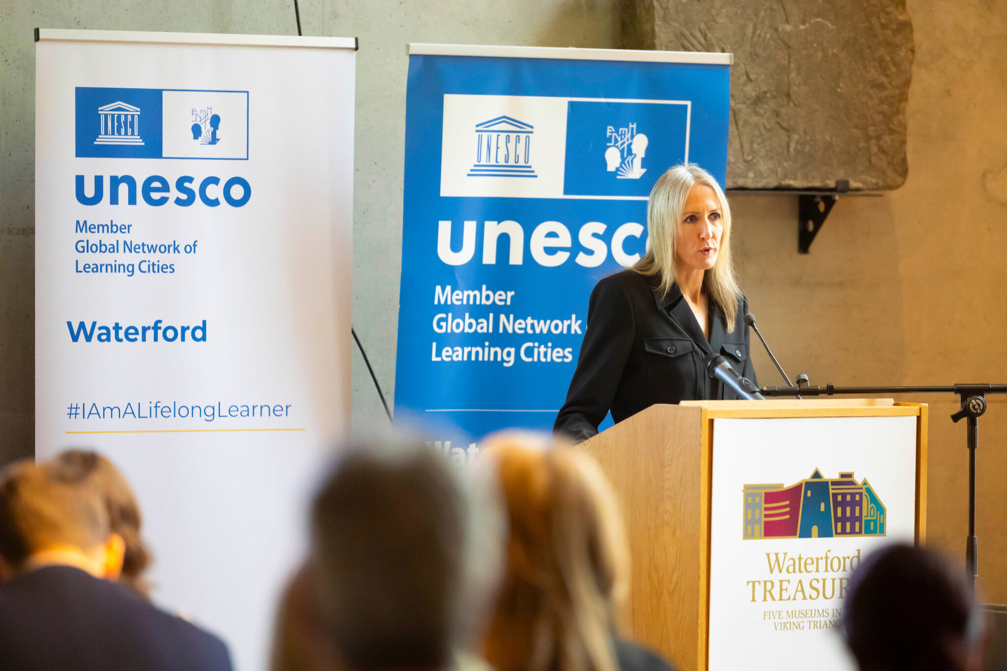 Waterford has launched status as UNESCO Learning City - Waterford and ...